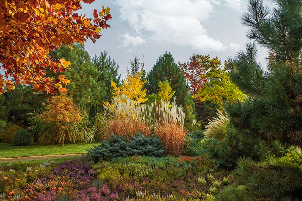 Landscaping Your Garden for a Fall Leaf-Filled Haven: Practical Tips ...